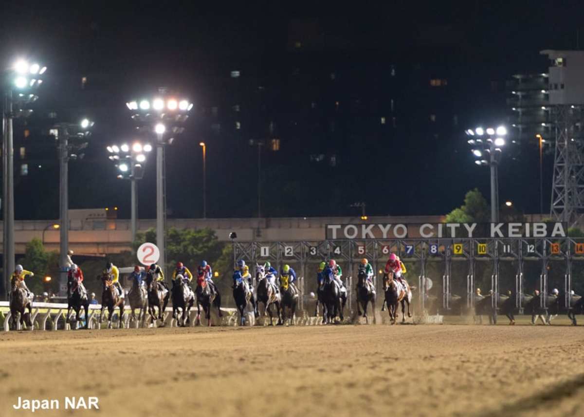 Sky Racing World To Launch Japan NAR Simulcasting On April 5 - Paulick ...