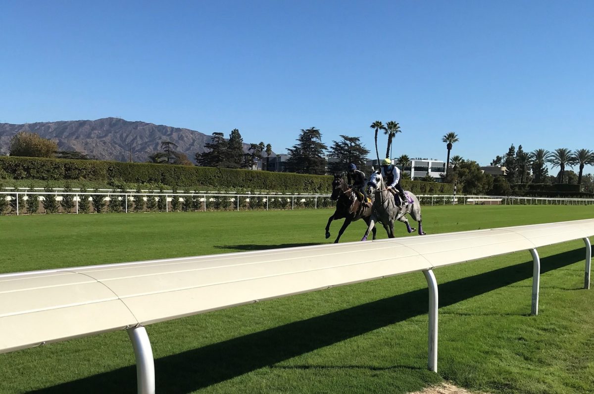 'It's Gonna Be A Big Hit': Santa Anita's New Turf Chute Gets Rave ...
