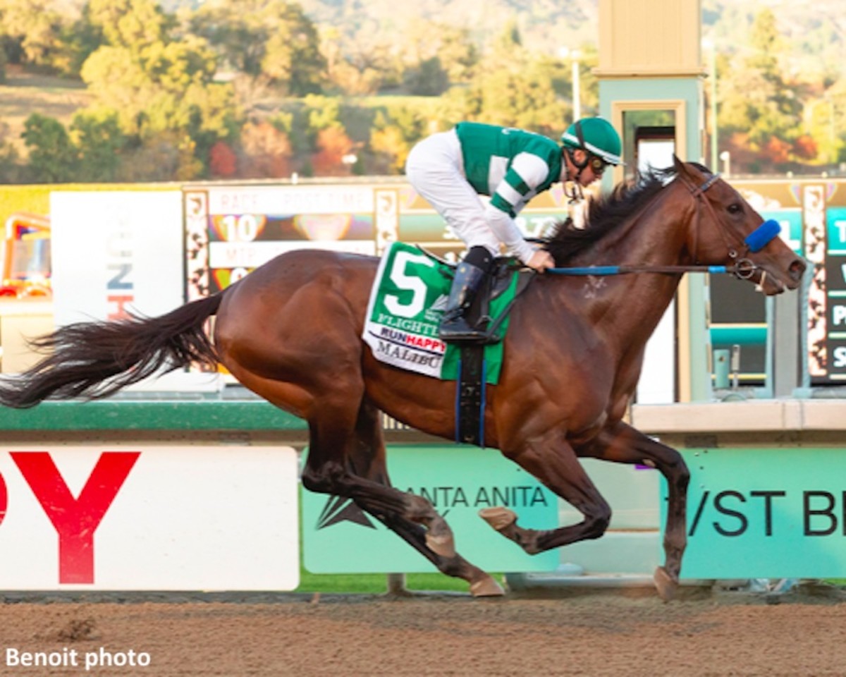 'He's A Freak': Flightline Soars To Third Consecutive Daylight Victory ...