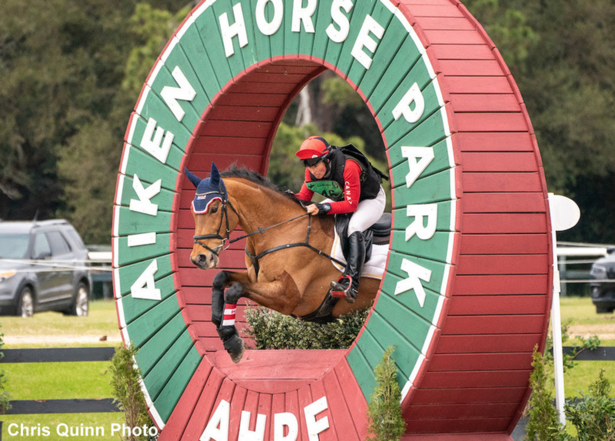 The Friday Show Presented By The Jockey Club: David O'Connor On Equine ...