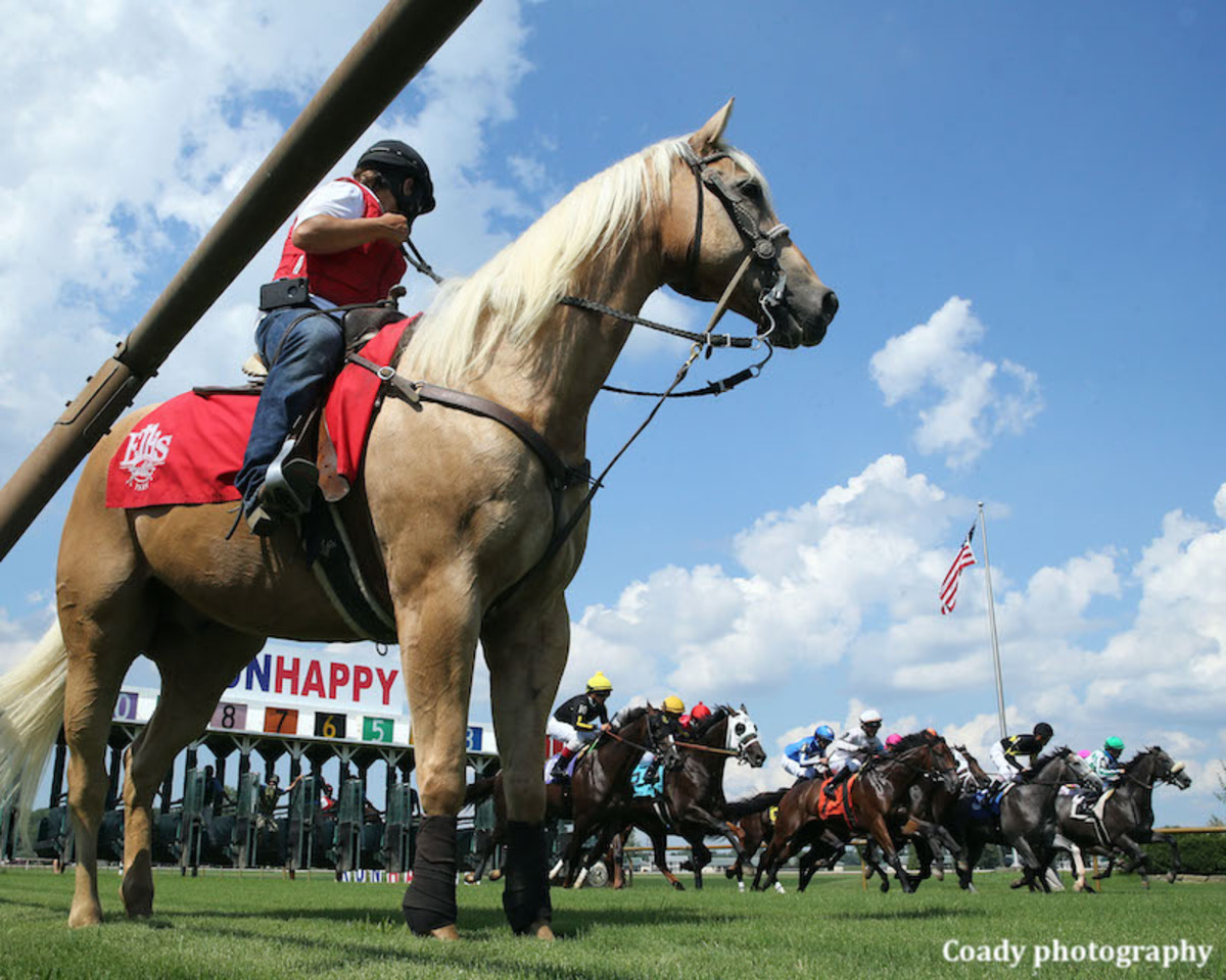 Ellis Park To Host Four New Stakes Over 2023 Schedule Worth $3.075 ...