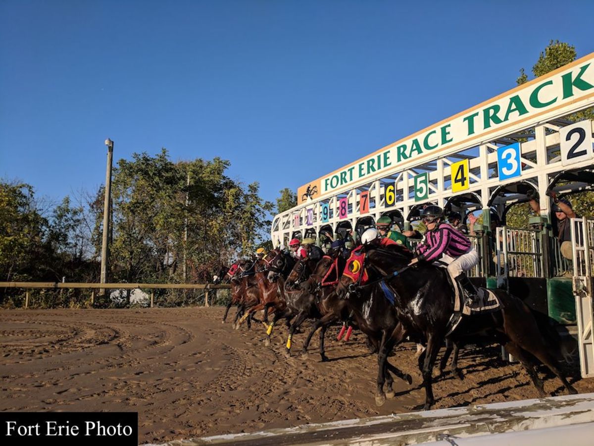 Fort Erie Files Complaint Against Woodbine, Citing Scheduling And Horse ...