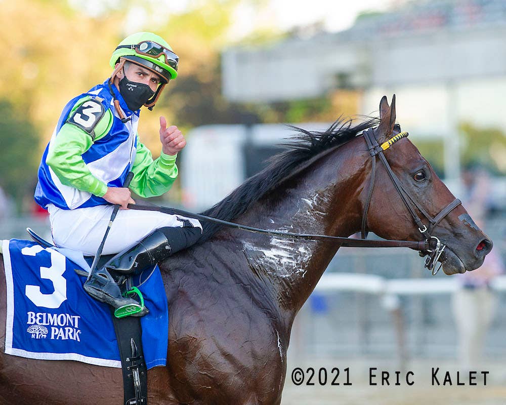 Scratched From Breeders' Cup With Foot Abscess, Arrest Me Red Returns ...
