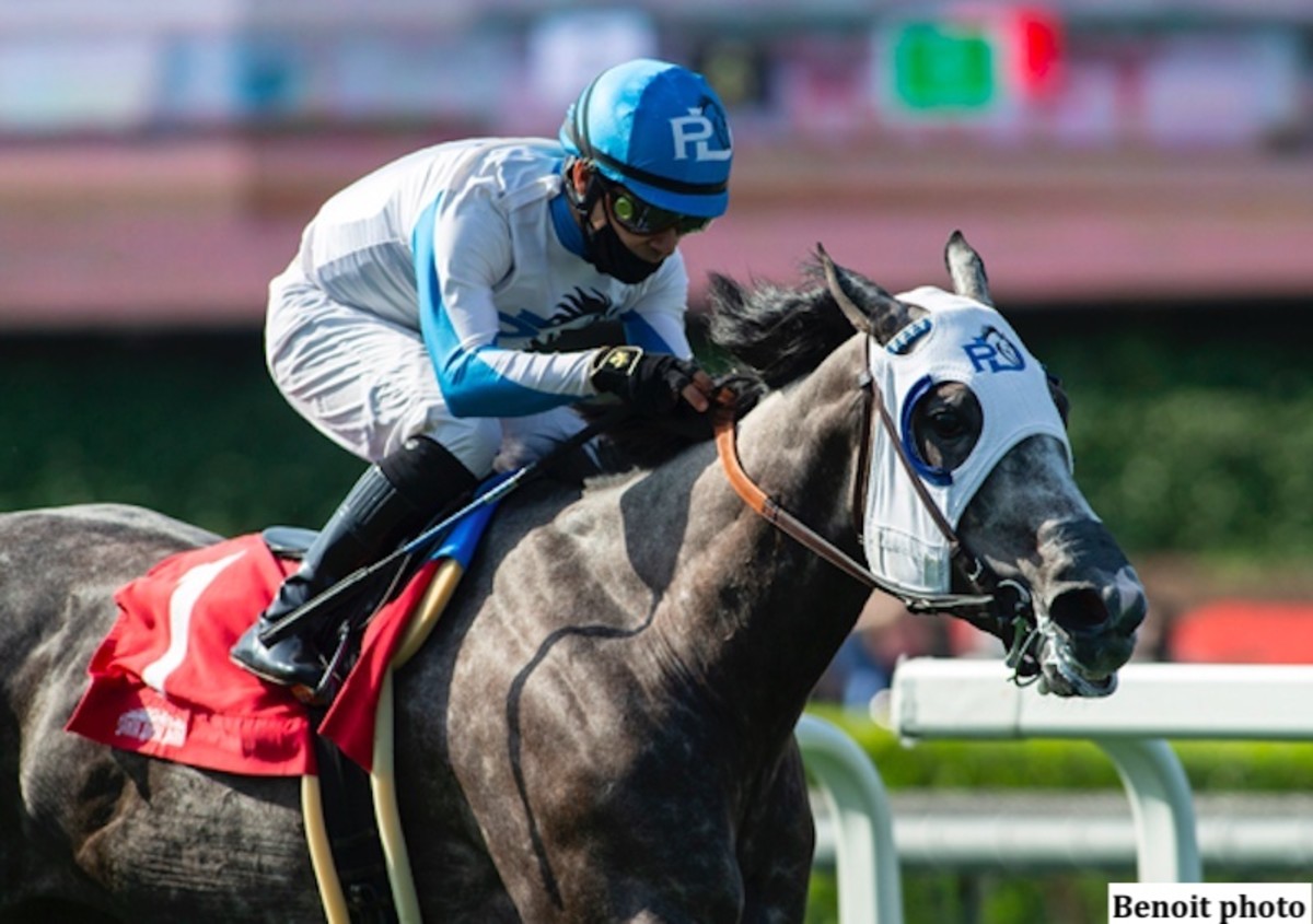 Leggs Galore Will Try To Keep Hillside Record Intact In Saturday's ...