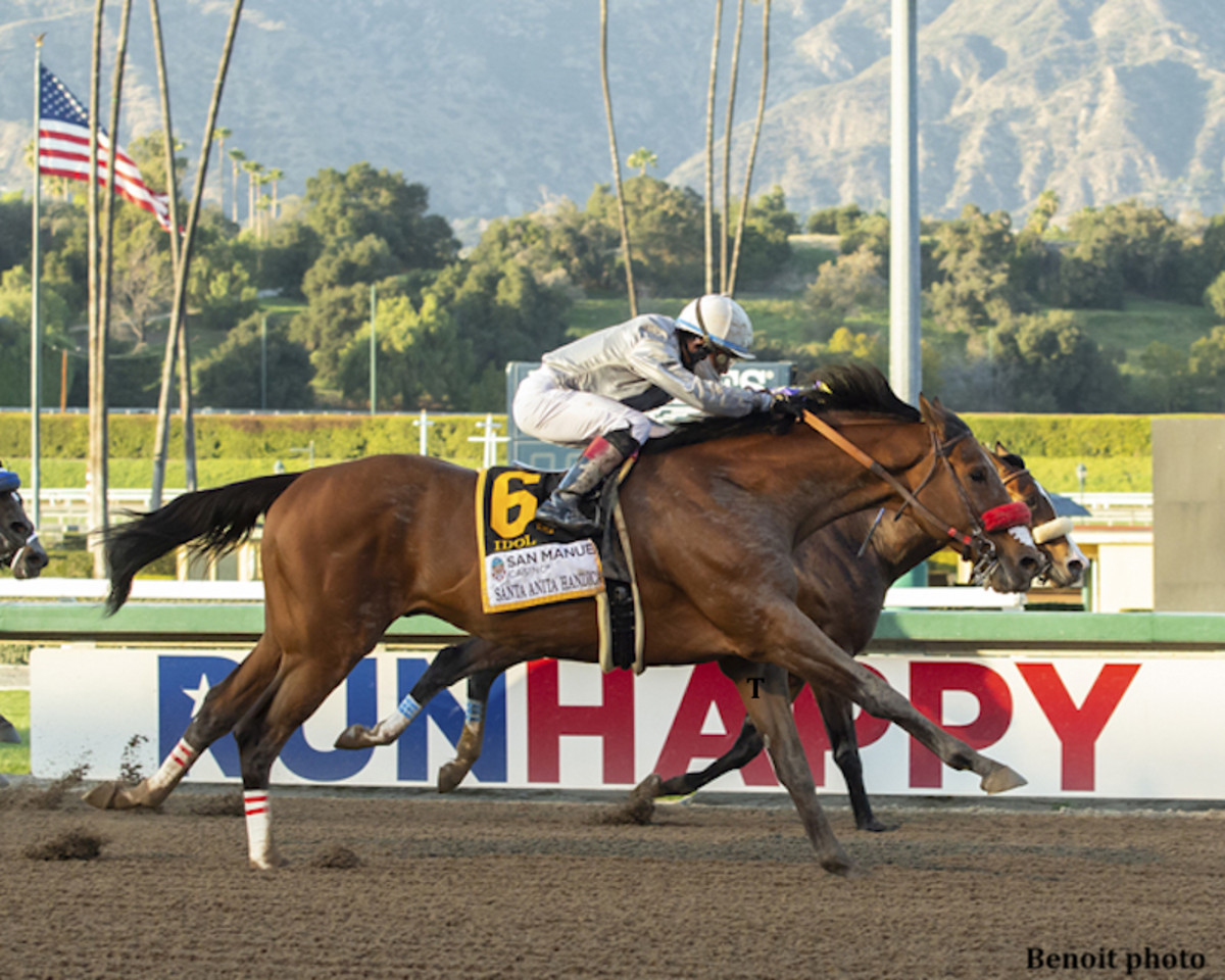 Idol To Stand At Taylor Made Stallions; Full Brother To Nest Won 2021 ...