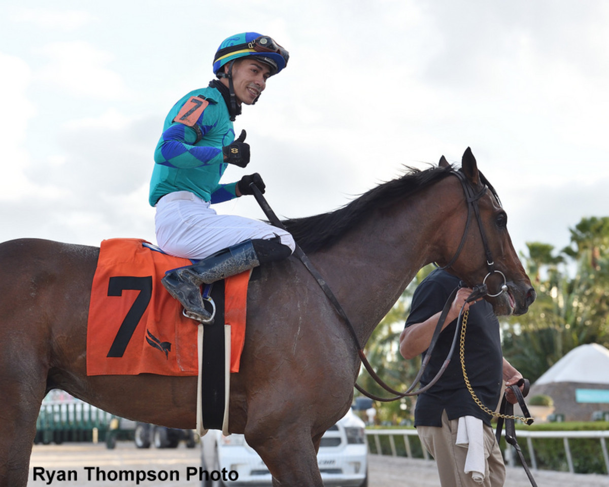 Greatest Honour 'No Pushover' In Early Training, But Holy Bull Winner ...