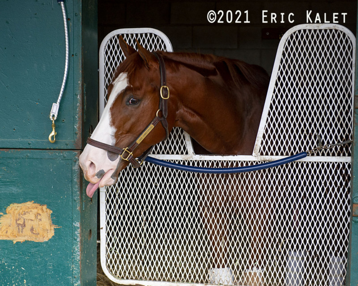 Scratched From Juvenile, Jack Christopher Undergoes Surgery; Plans Call ...