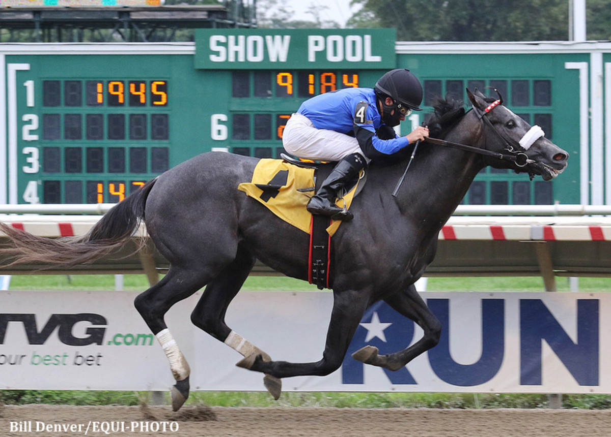 Sacco Believes Longshot Basso Will 'Step Up' In Haskell - Paulick ...