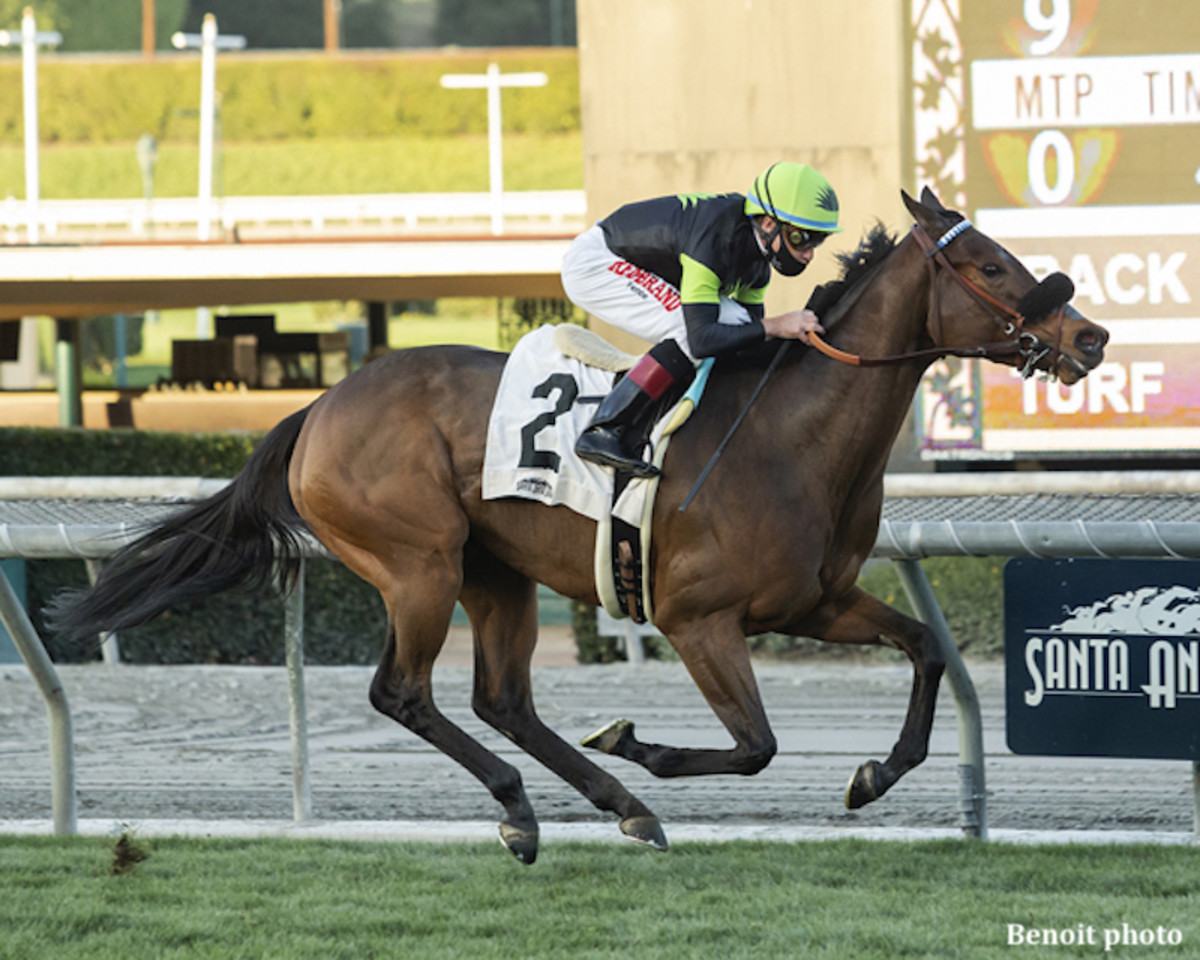 Bloodlines Presented By Diamond B Farm's Rowayton: The Unlikely Path Of ...