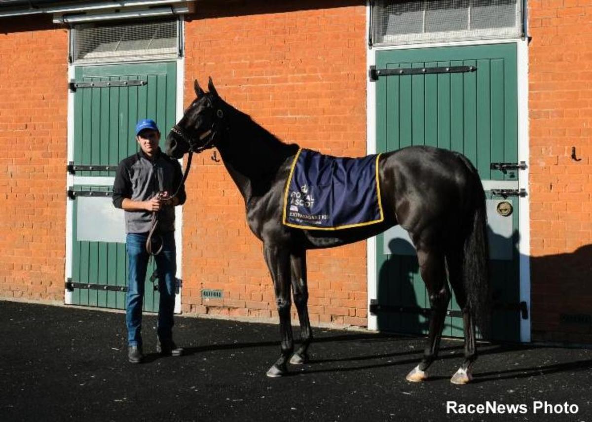 Walsh-Trained Extravagant Kid 'In His Prime' Ahead Of Saturday's Group ...