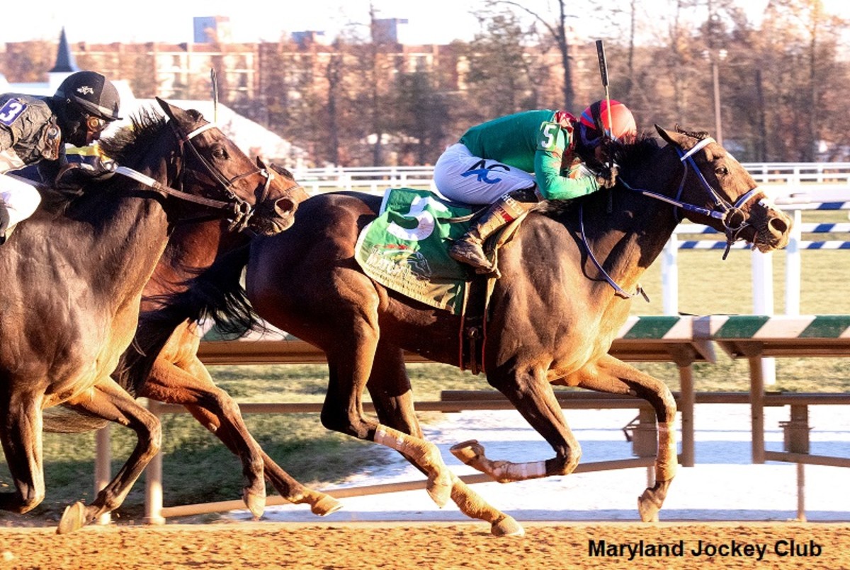 Miss Leslie Finds Winning Form Again In Thirty Eight Go Go At Laurel ...