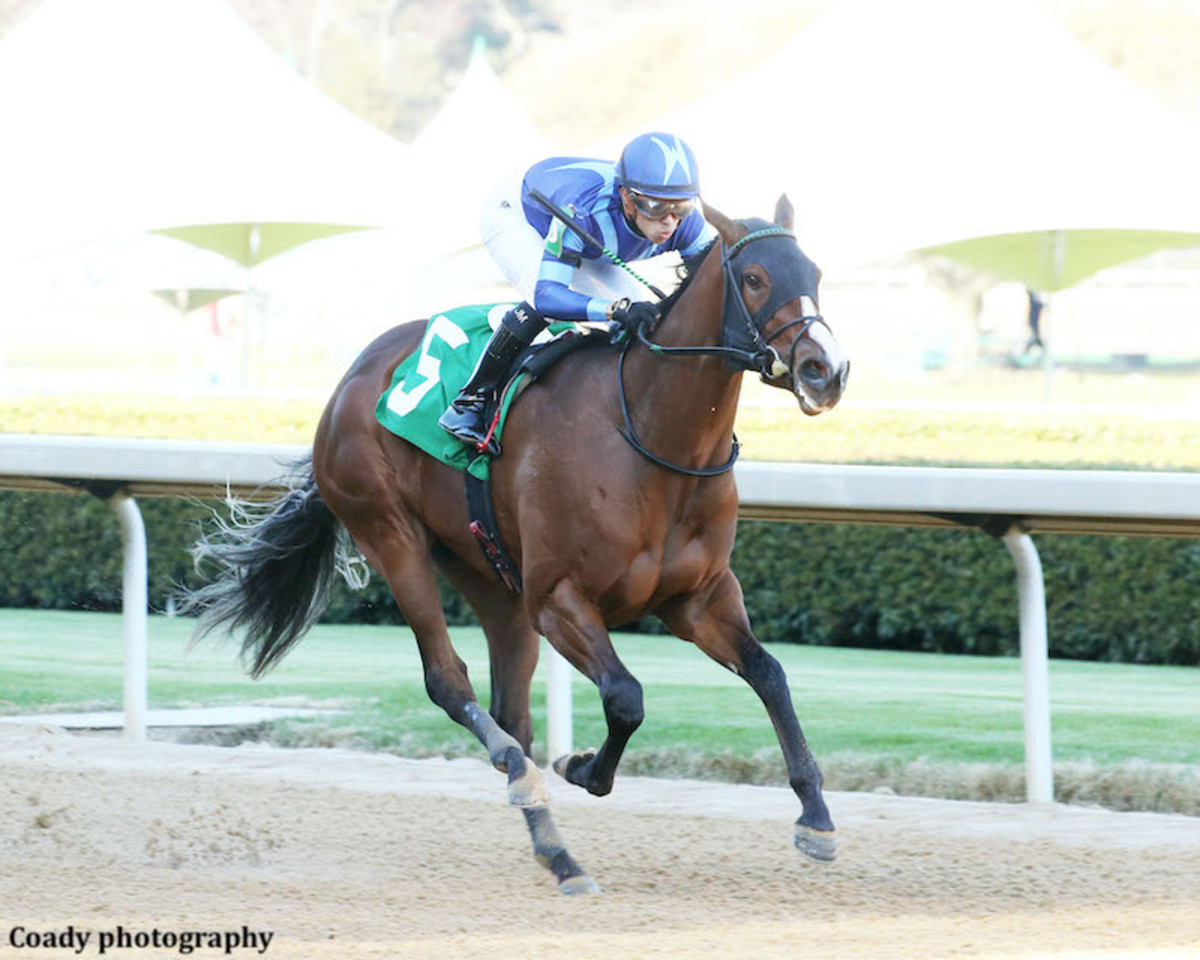 Runhappy 3-Year-Olds Making Joyful Cadence Toward Winner's Circle ...
