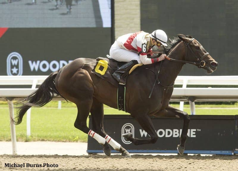 Former Jockey Gerry Olguin Owning His New Racing Role - Paulick Report ...