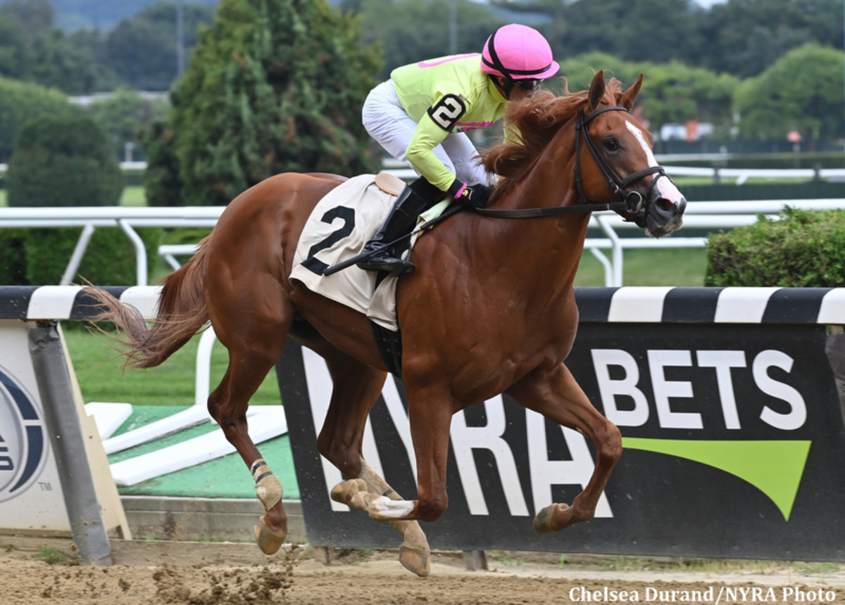 Doctor Jeff Faces 11 Talented Juveniles In Saturday's Saratoga Special ...