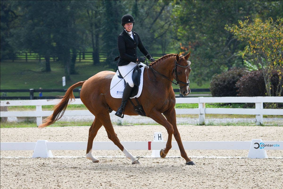 Preliminary Competition Complete At Thoroughbred Makeover: Finalists ...