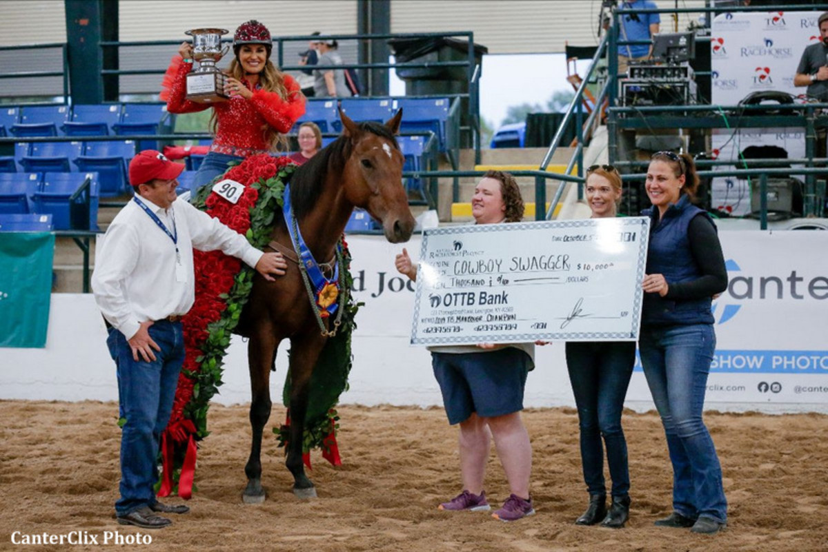 A Decade In, How Are We Doing With Thoroughbred Aftercare? - Paulick ...