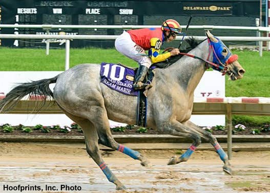 Horse-For-Course Dream Marie Upsets Obeah Stakes - Paulick Report ...