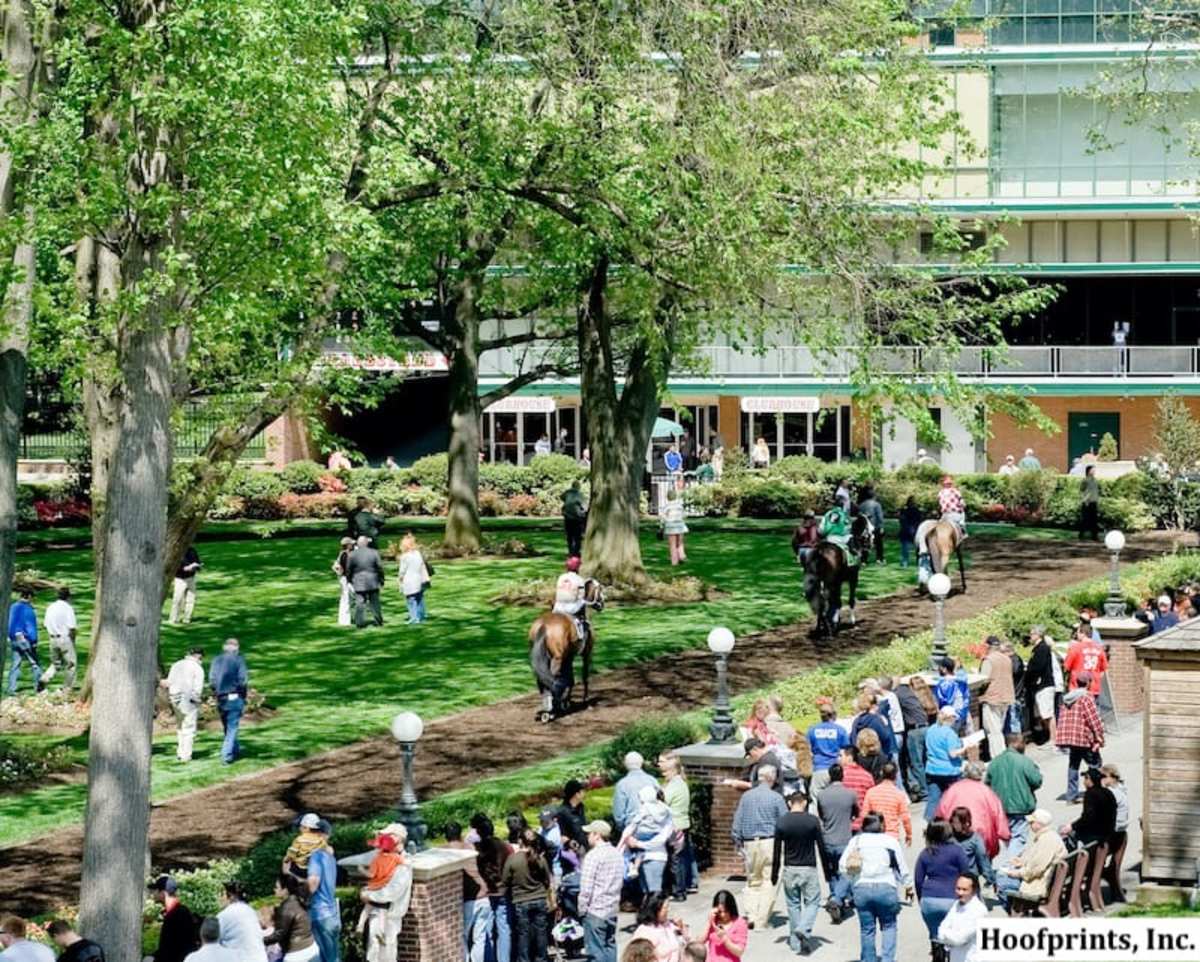 Delaware Park Introduces Starter Bonus For Remainder Of Meet - Paulick ...