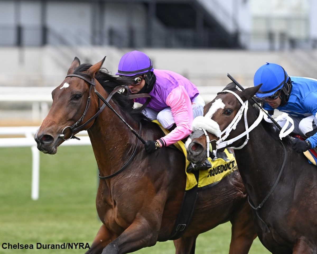 Flower Point Gets Break After Forever Together Victory - Paulick Report ...