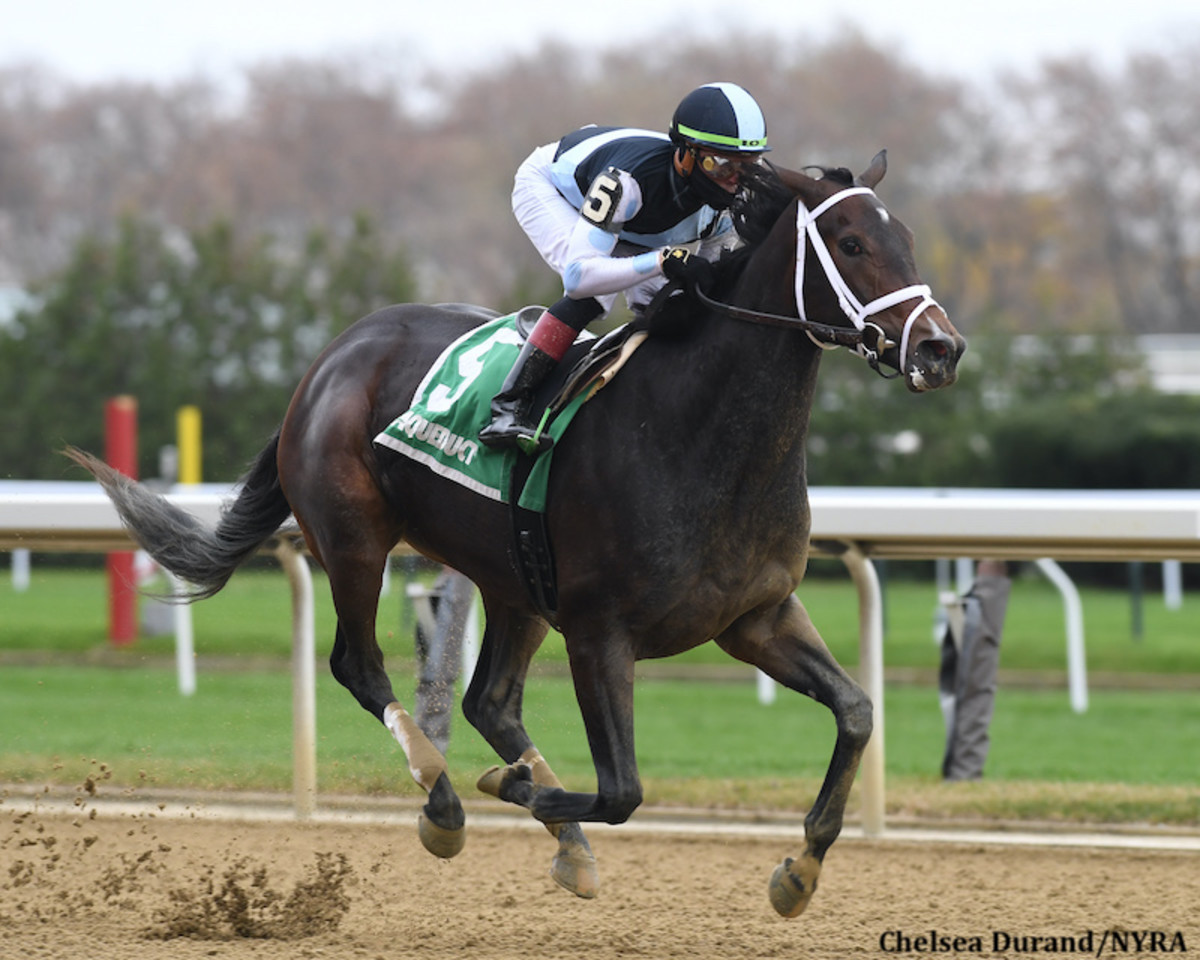 Vacay Takes On Laobanonaprayer In Franklin Square For New York-Breds ...
