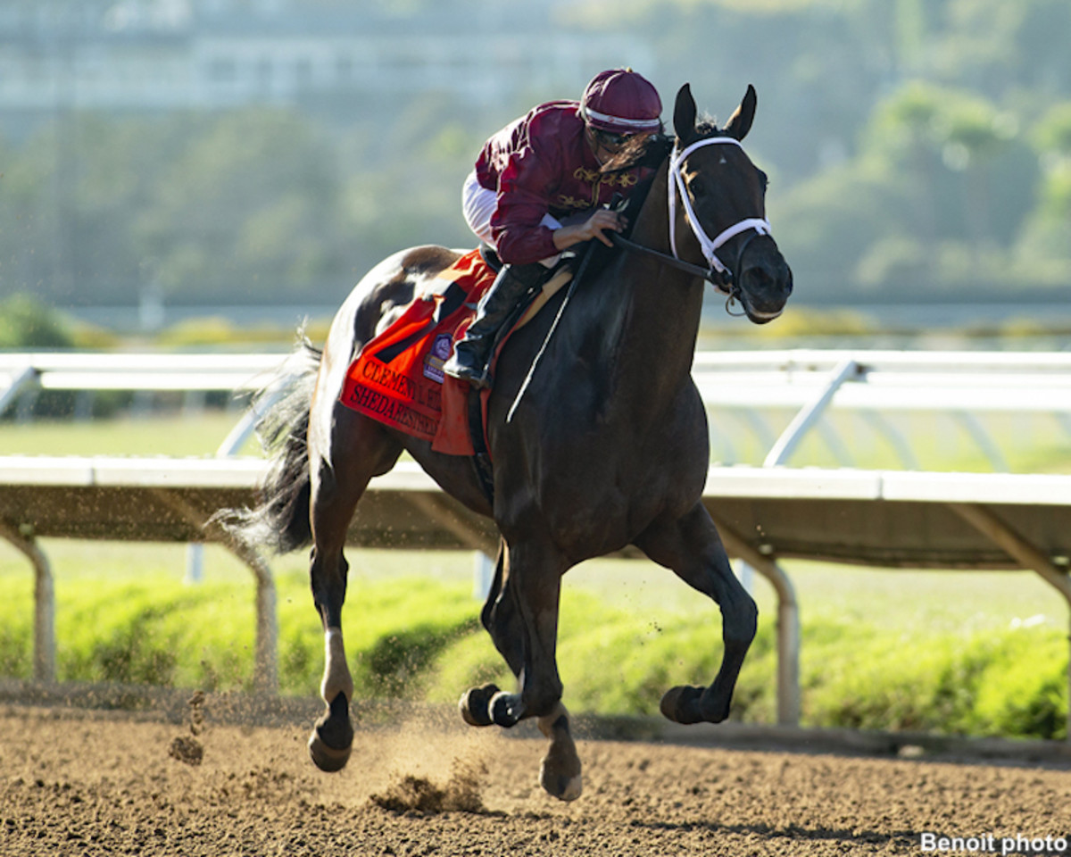 Shedaresthedevil Romps In Clement L. Hirsch, Earns Breeders' Cup ...