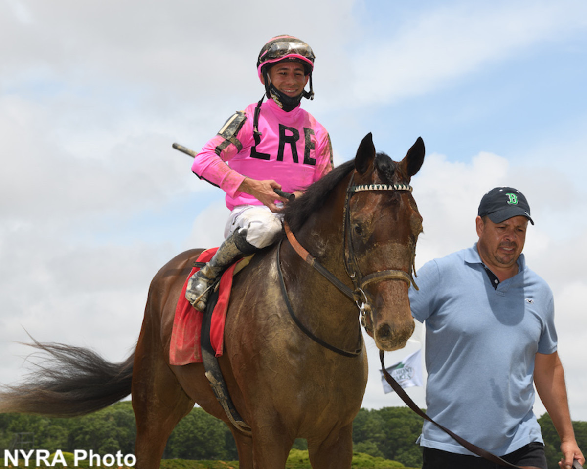 Bloodlines: Freshman Sire Race Beginning To Pick Up The Pace - Paulick ...