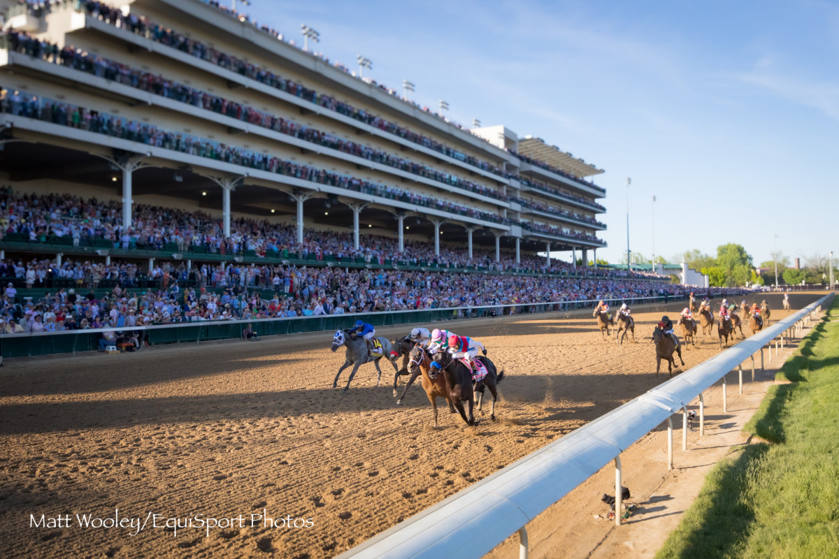 Report: Why Regulators Test For Picograms Of Betamethasone - Paulick ...