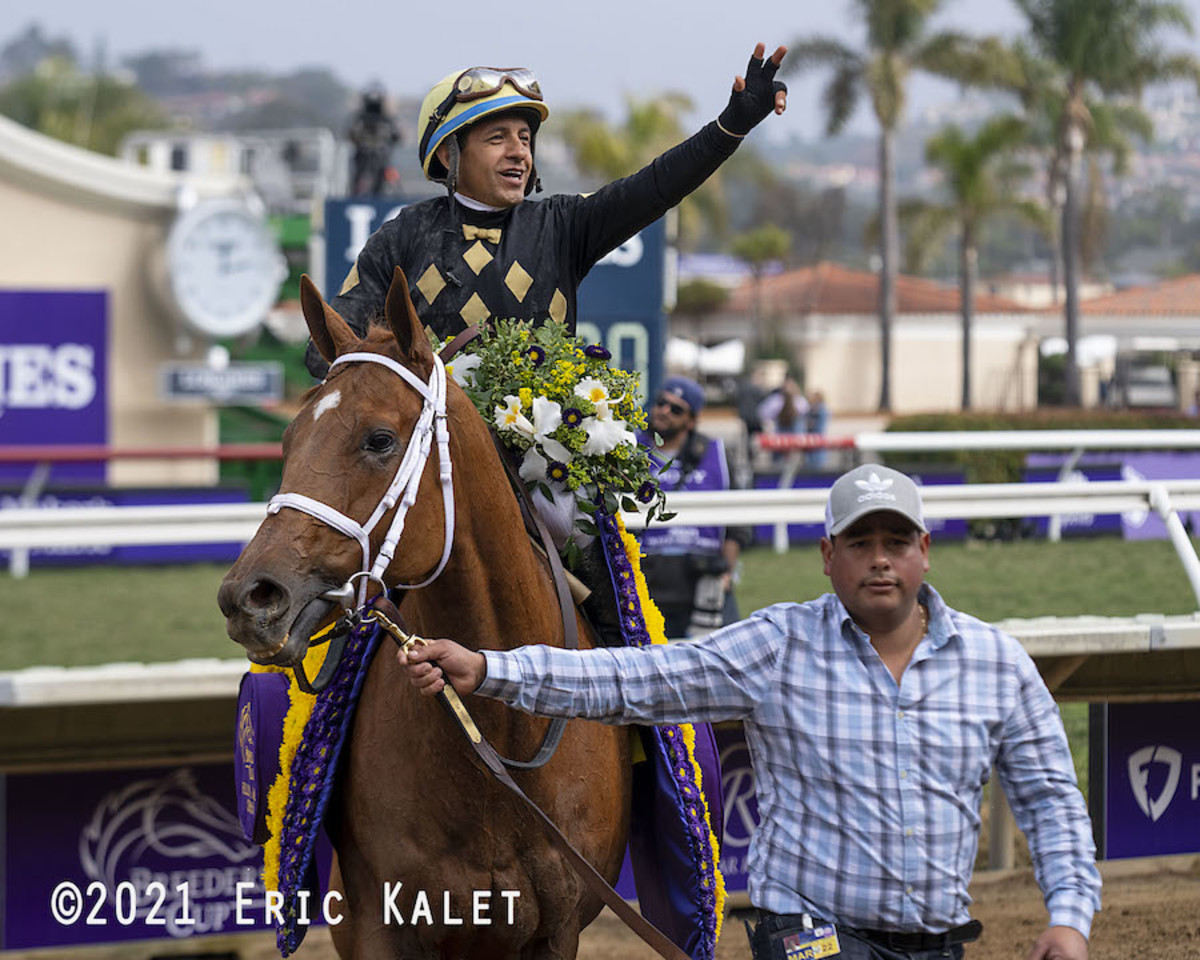 Ce Ce Returns To Saratoga For Another Shot At Ballerina - Paulick ...