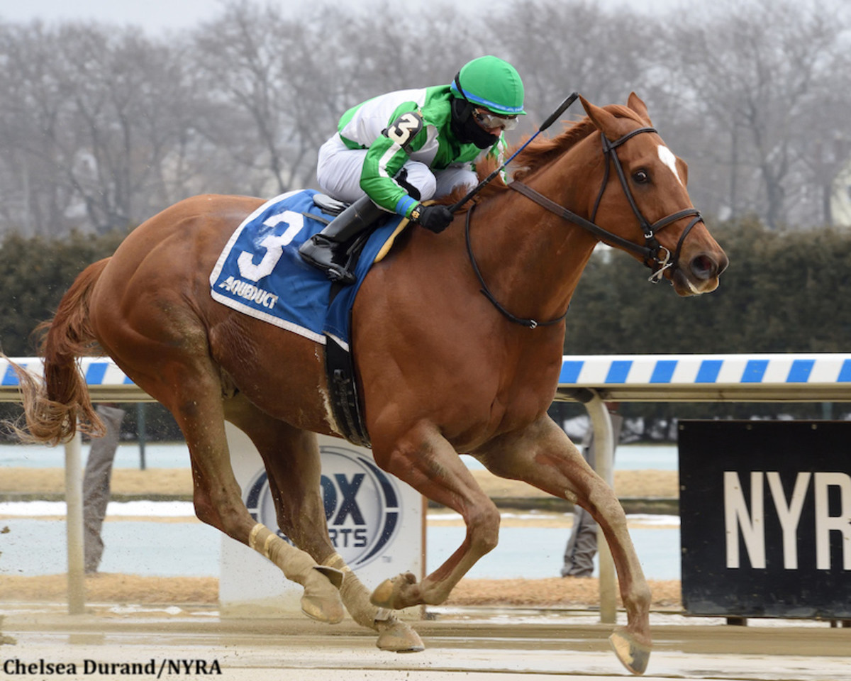 Stymie Gives New York-Bred Mr. Buff 11th Career Stakes Score - Paulick ...