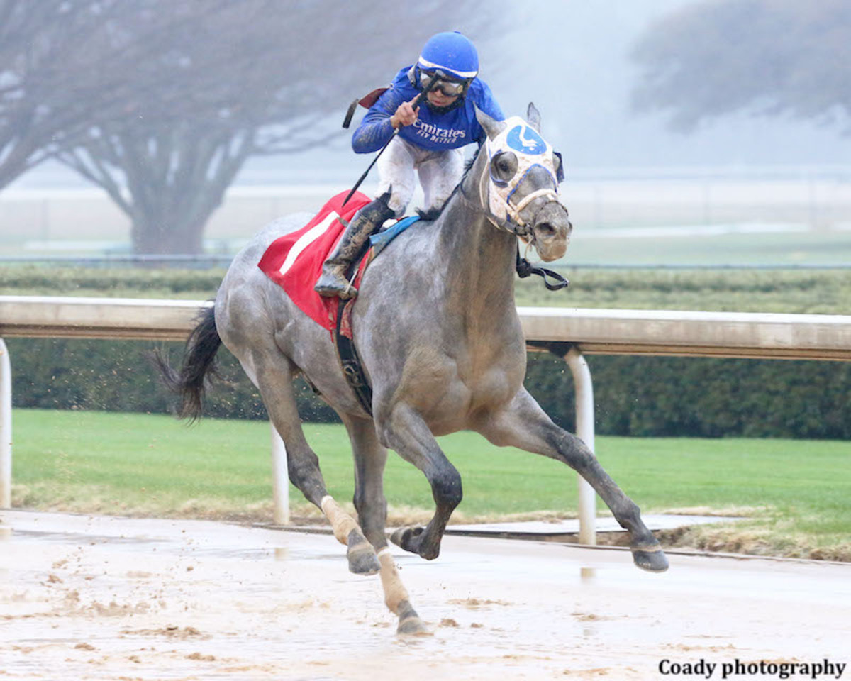 'Seasoned Horse' Essential Quality Arrives In Kentucky For Blue Grass ...