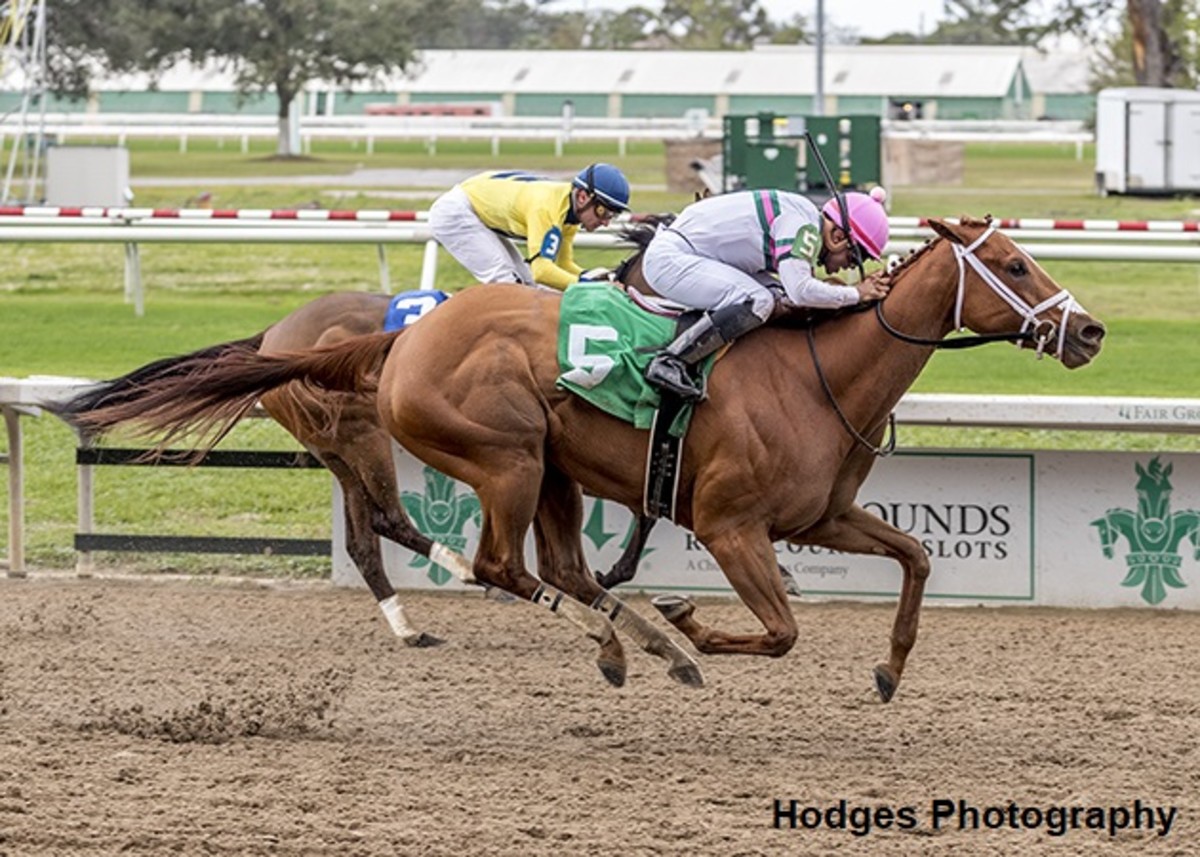 Louisiana Champions Preview Weekend Features Six New Stakes At Fair
