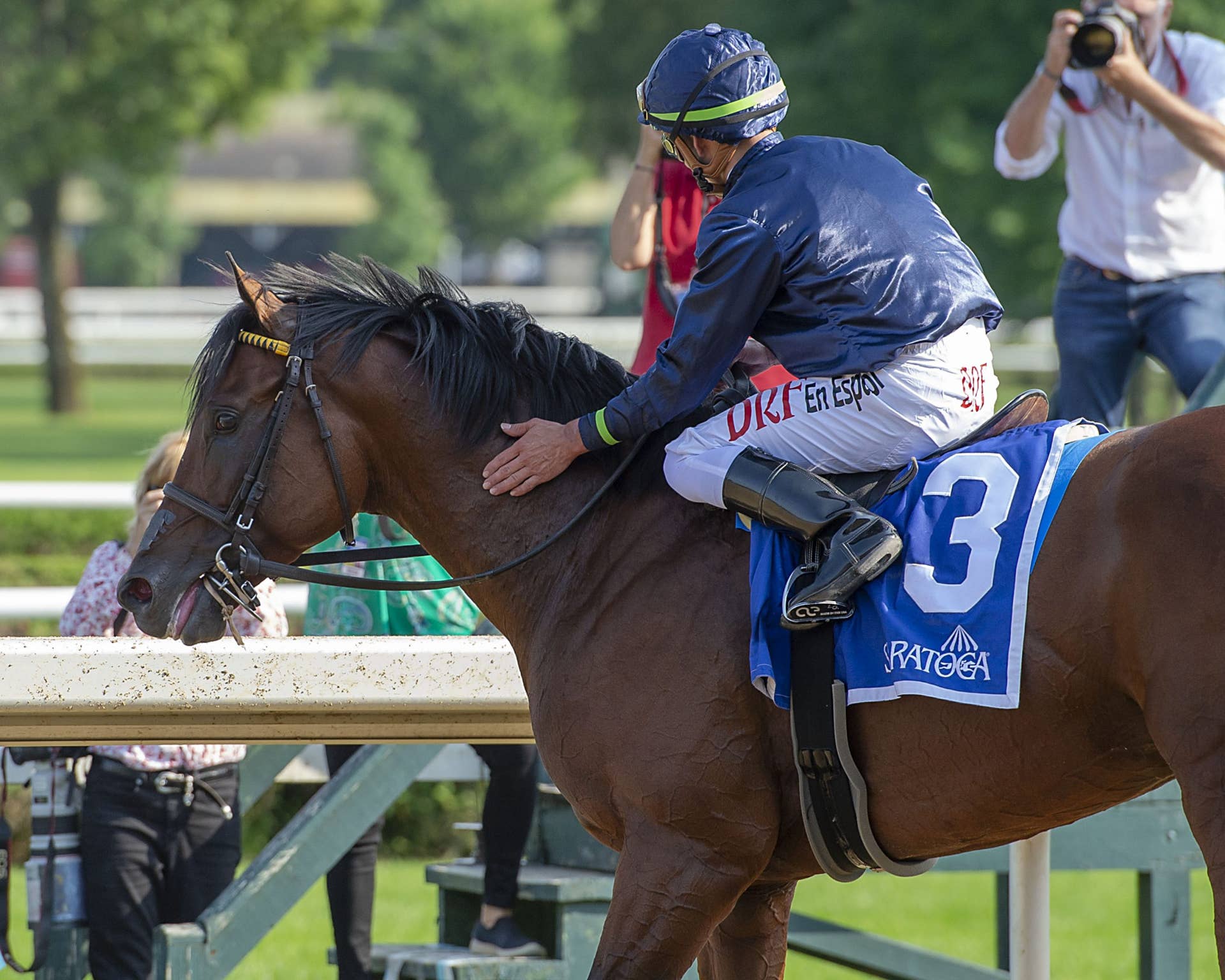 After Overseas Disappointment, Ward-Trained Golden Pal Targeting ...