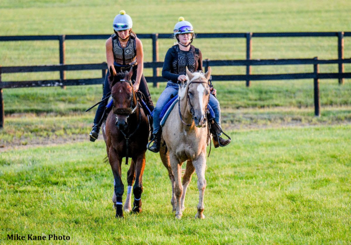 Every Step Of The Way: Andie Biancone And Diamond Oops Start His Next ...