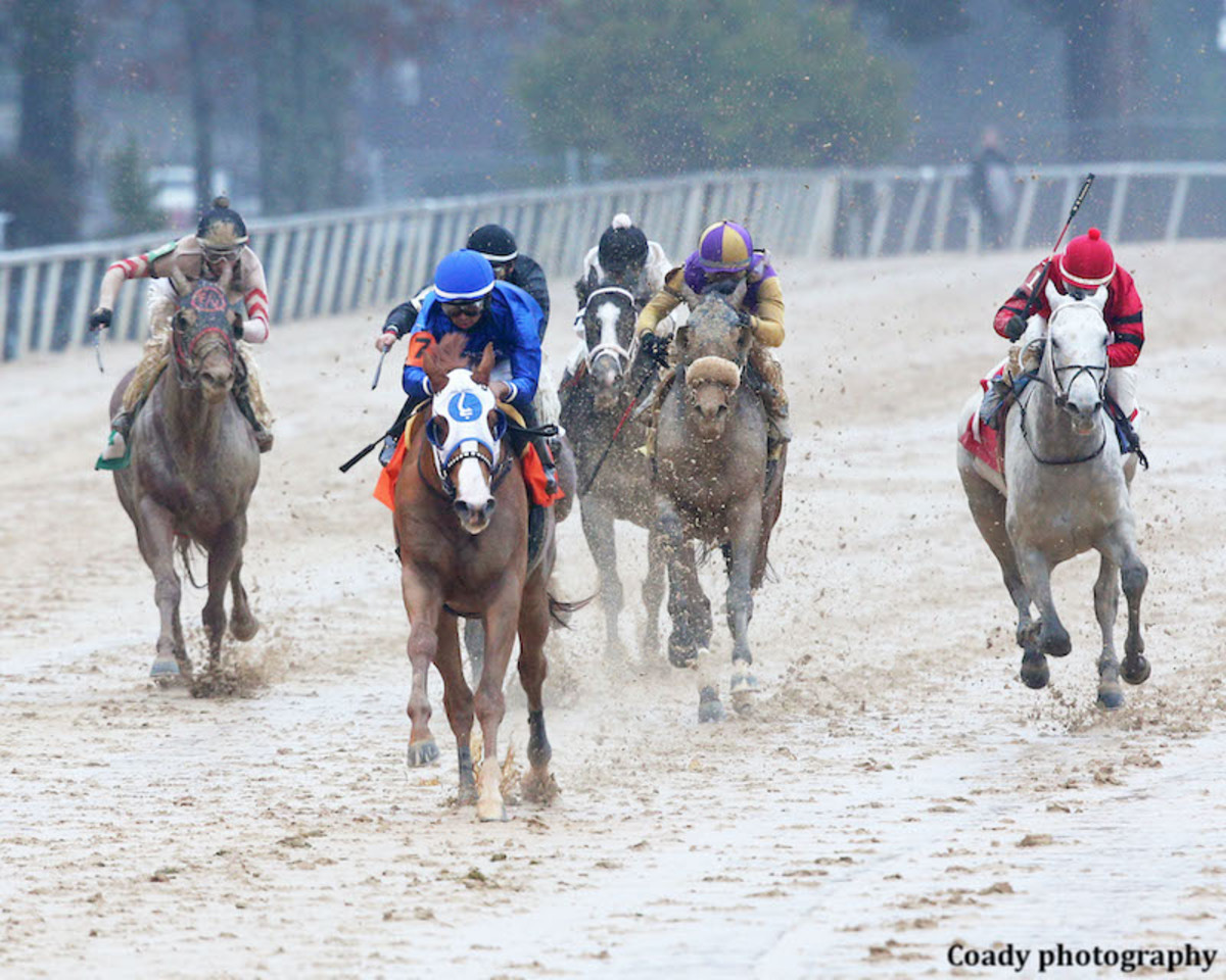 Mystic Guide Romps Over Sloppy Track In Razorback Handicap - Paulick ...