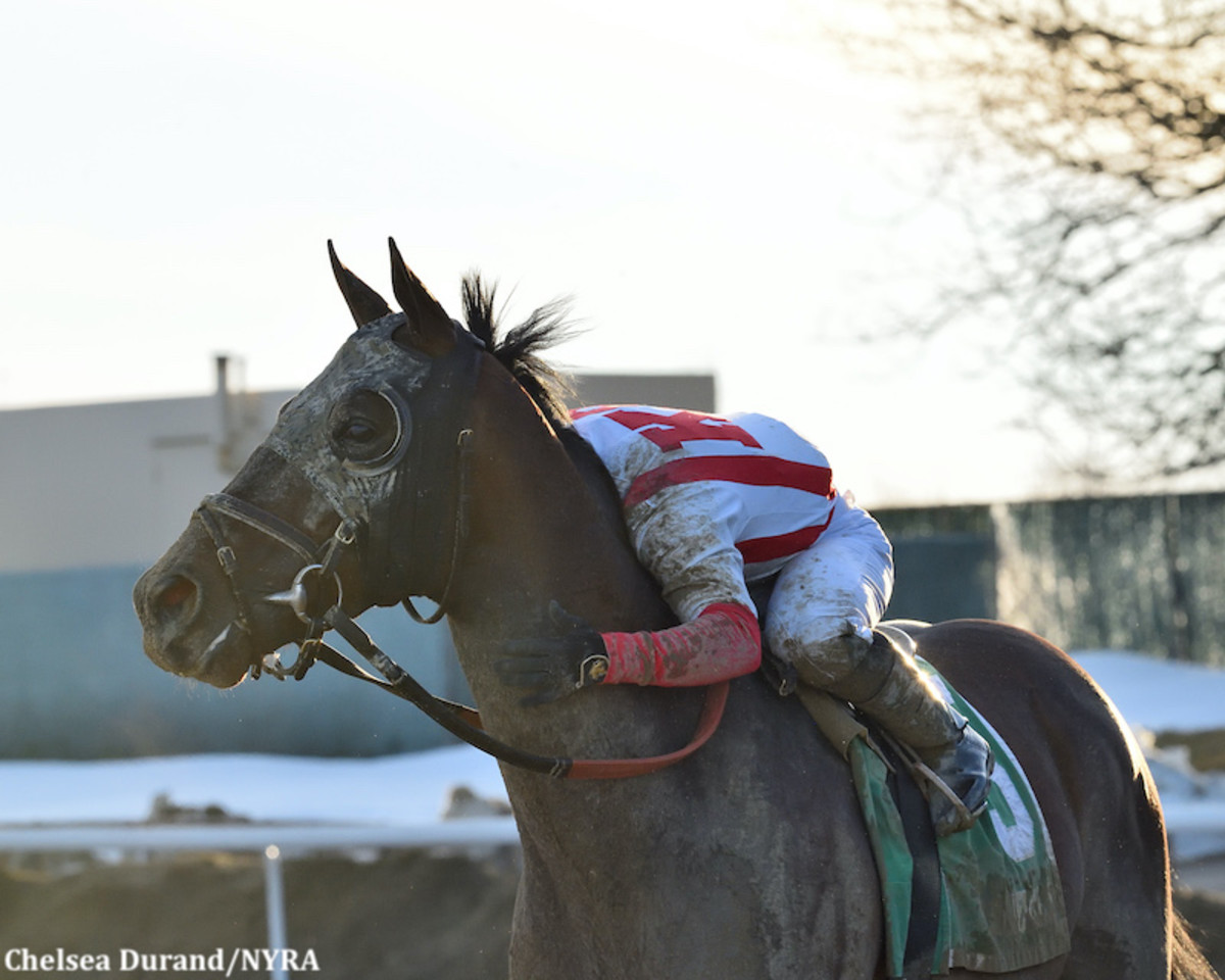 'Getting The Classic Distances Won’t Be Much Of A Problem' For Withers ...