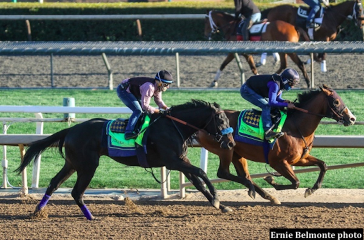 Medina Spirit, Baffert's Santa Anita Derby Stand-In, 'Went Very Nice ...