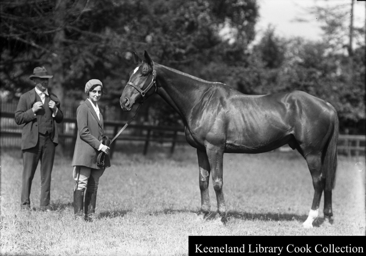 A Look Back At Mary Hirsch, Who Opened The Door For Female Trainers At ...