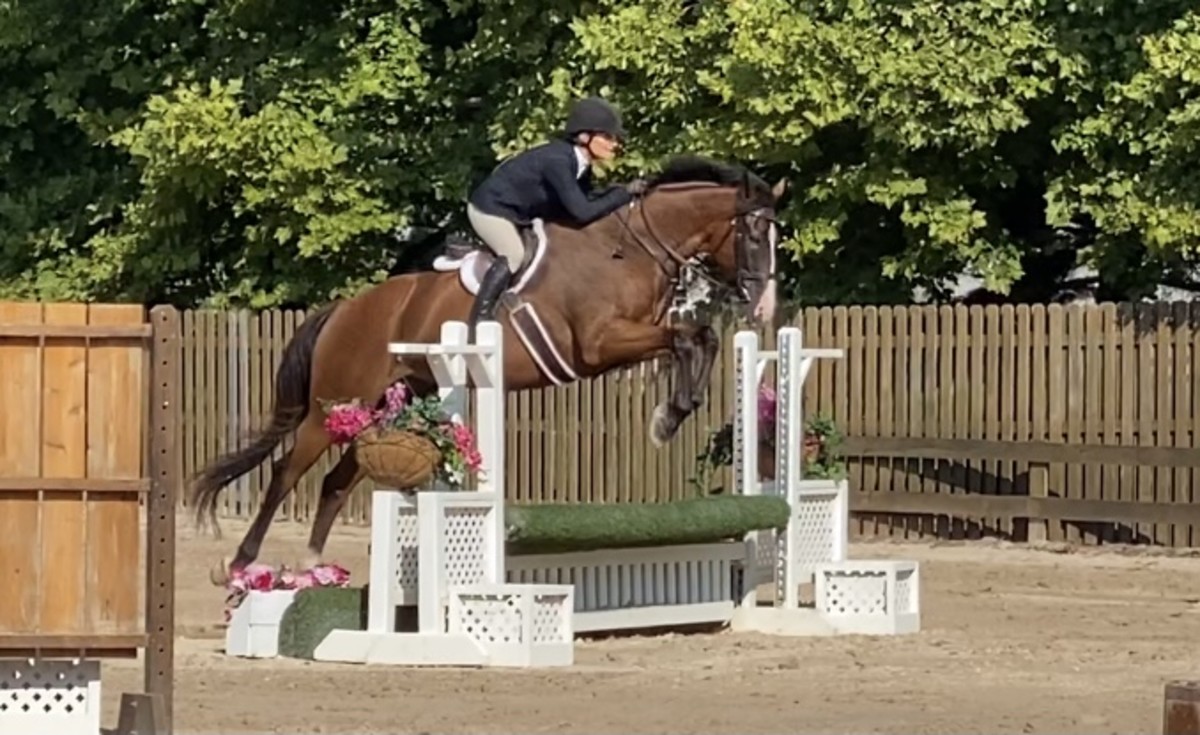 Lost And Found Presented By LuibriSYN HA: Too Young To Retire, Older ...