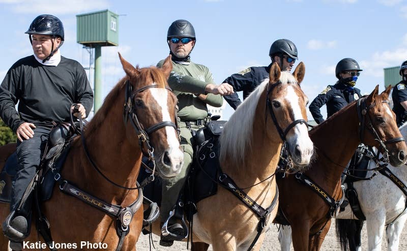 Trio Of Off-Track Thoroughbreds, Now Police Horses, To Present Colors ...