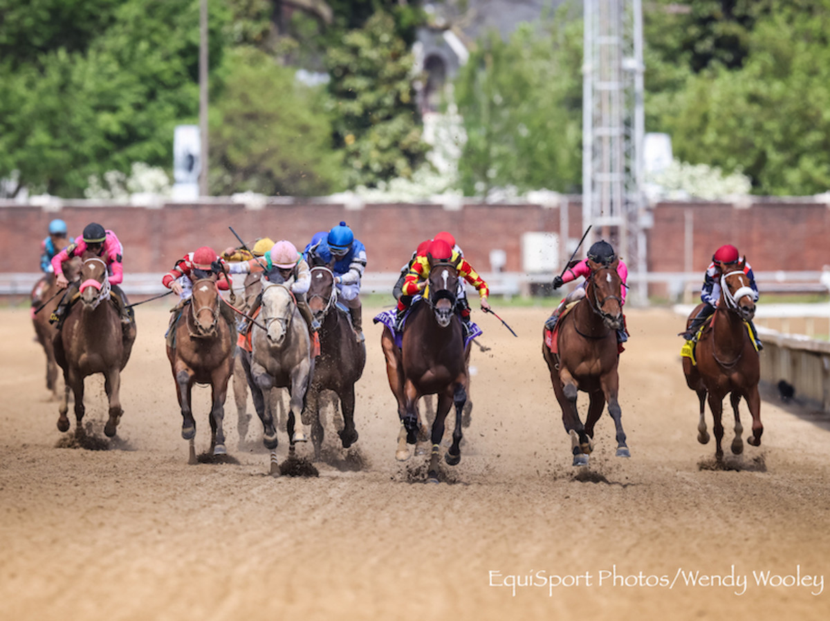 Obligatory Flies Late To Snatch Eight Belles Victory From ...