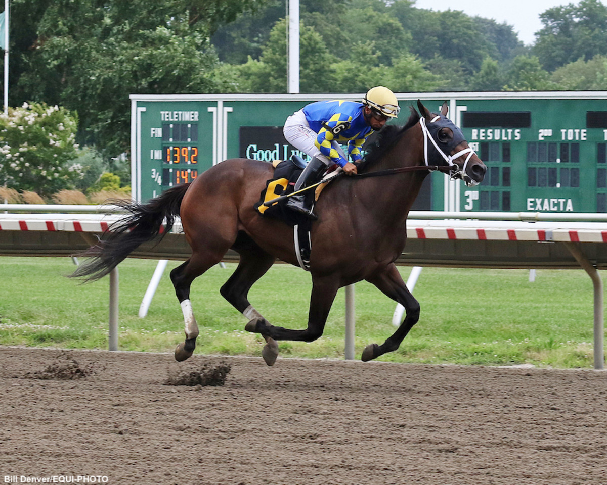 Maiden Winner Mr. Briggs Among Wanamaker's July Sale Supplemental ...
