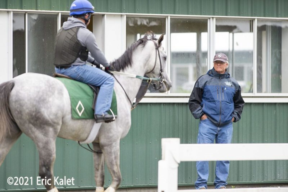 Longshot Exacta In Jaipur Highlight Of Successful Belmont Day For Hall ...