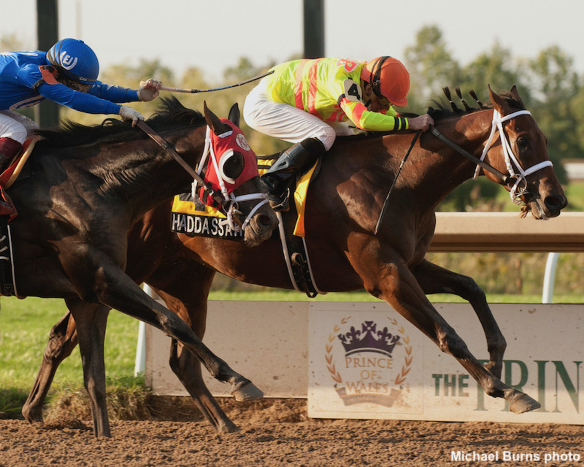 Haddassah Leads 1-2 Finish For Kevin Attard In Fort Erie's Prince of ...