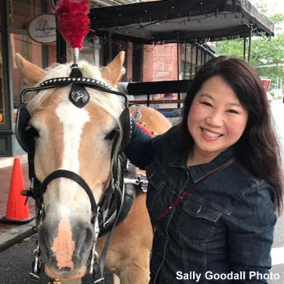 NHC Veteran Sally Goodall Captures Elusive Tour Title - Paulick Report ...