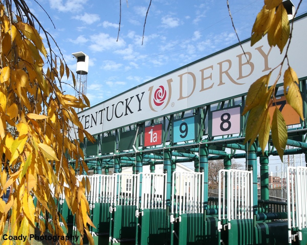 'All Others' Closes As 3-5 Favorite In Kentucky Derby Future Wager Pool ...