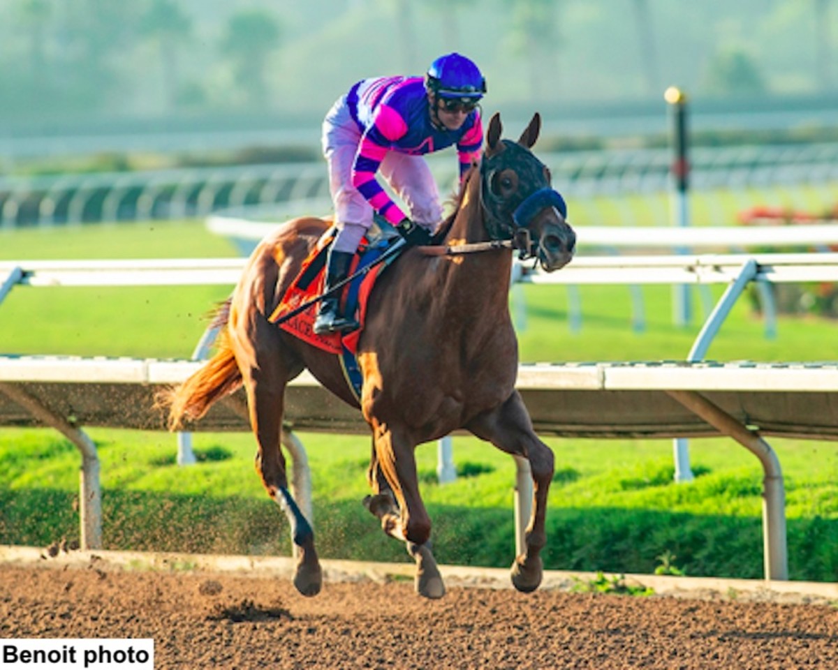 Baffert To Saddle Three Of Six In Saturday's Starlet - Paulick Report ...