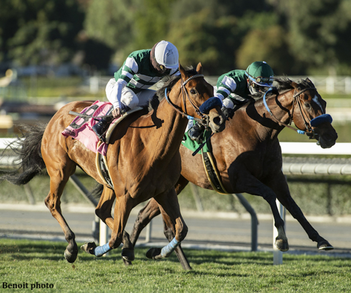 Sadler-Hronis Racing Run 1-2 In Astra Stakes With Quick, Hermaphrodite ...