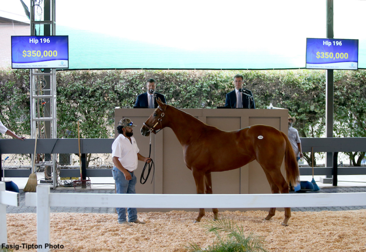 Fasig-Tipton California Horses Of Racing Age Supplement Now Online ...