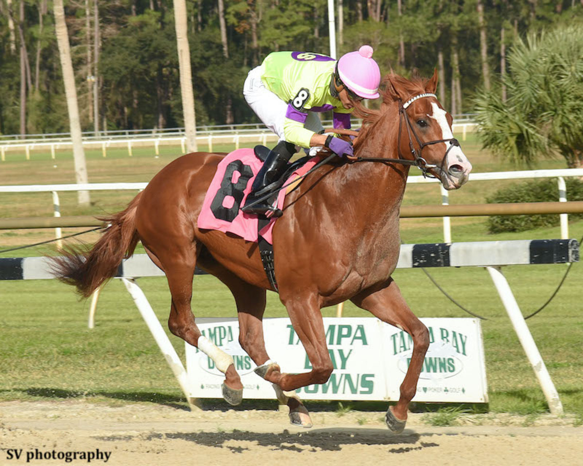 Weekend Lineup: Road To The Kentucky Derby Continues Through Tampa ...