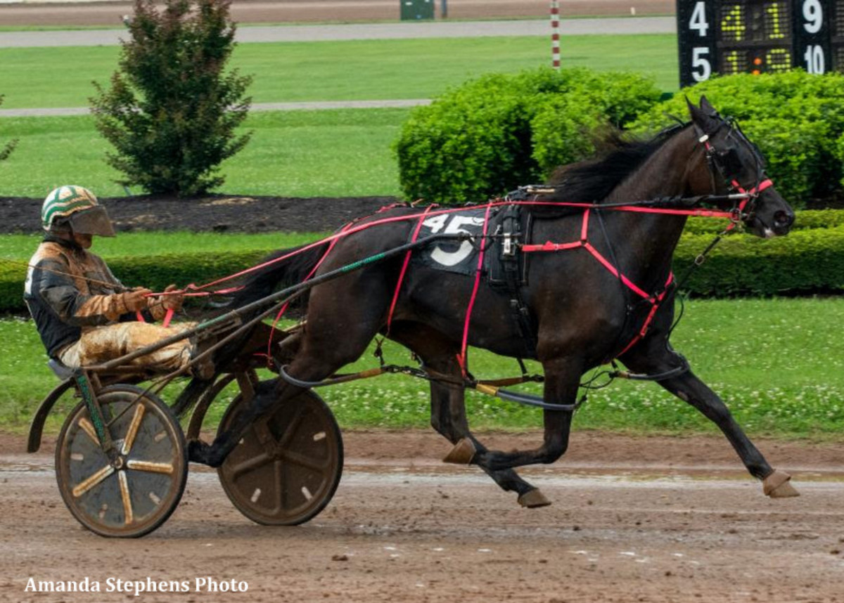 Kentucky Proud: What Fairs Mean To State's Harness Industry - Paulick ...